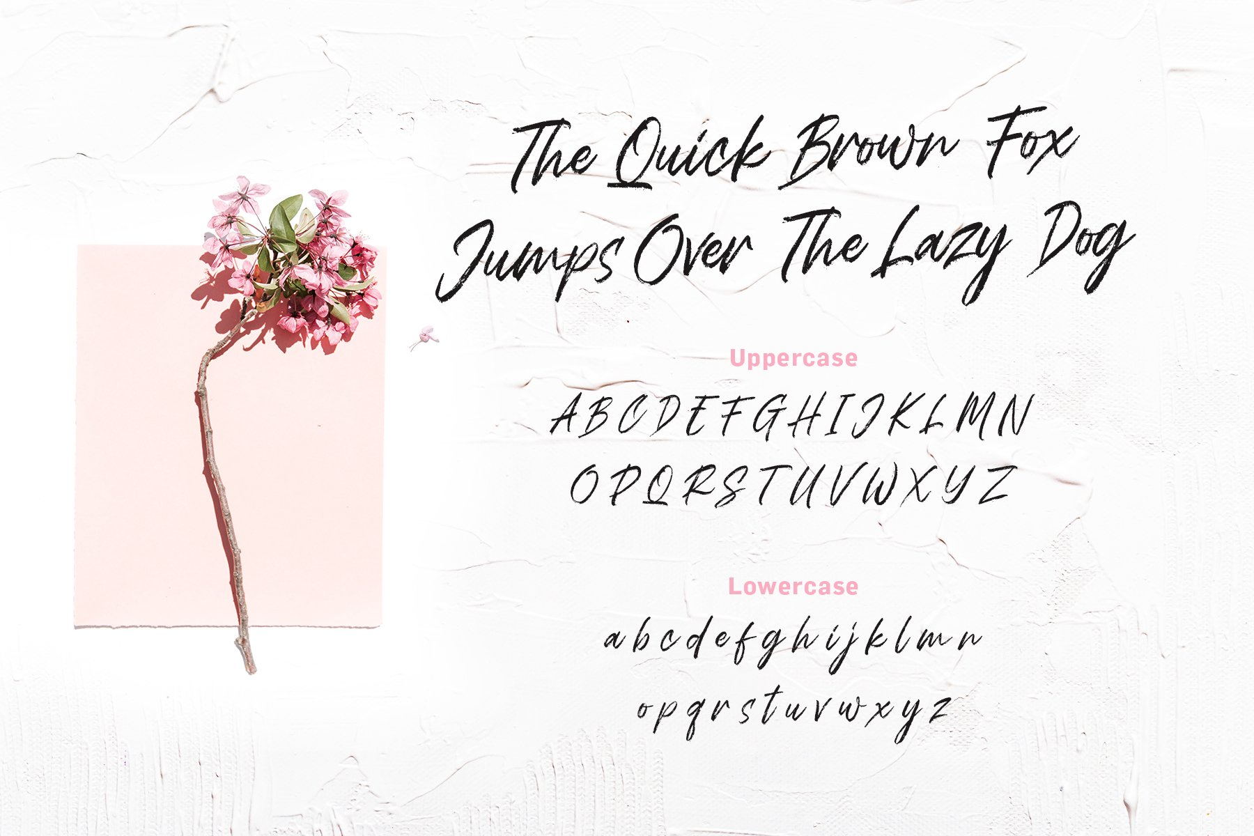 Shoufa, Fonts | GraphicRiver